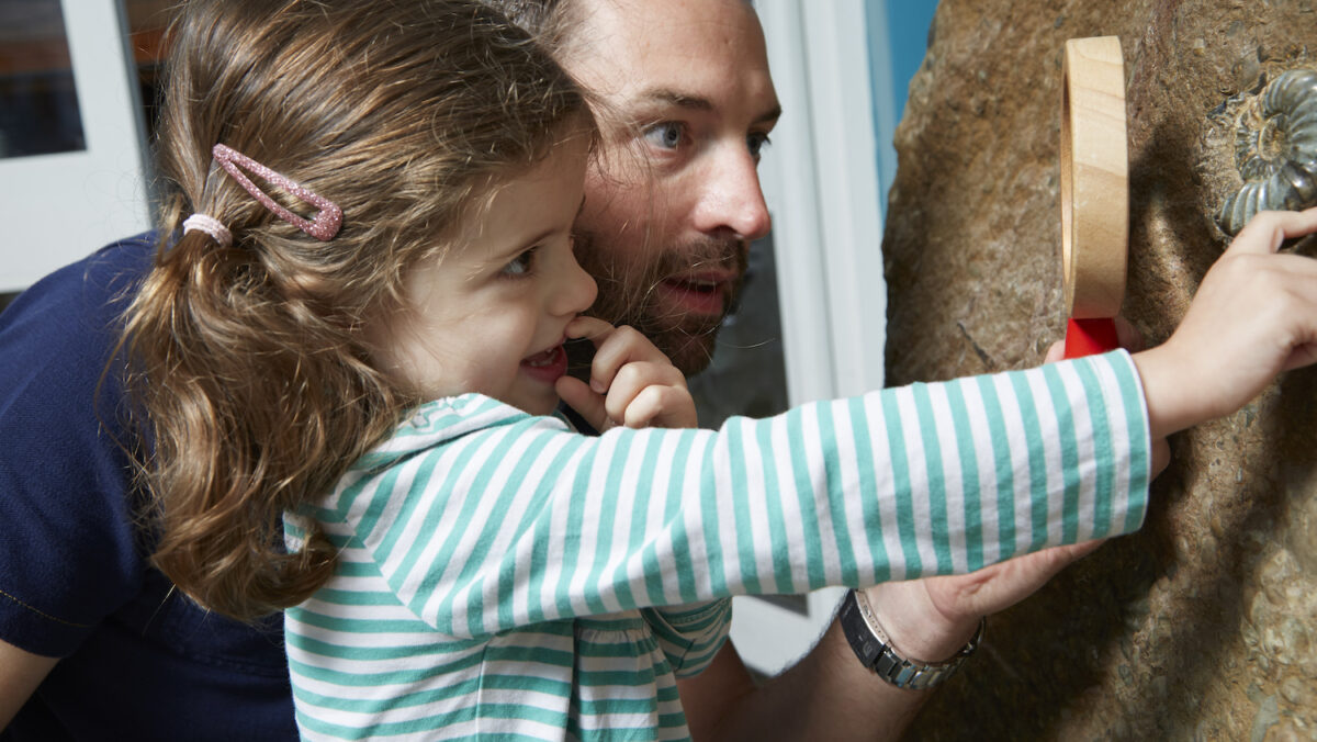 Visit Us - North Lincolnshire Museum