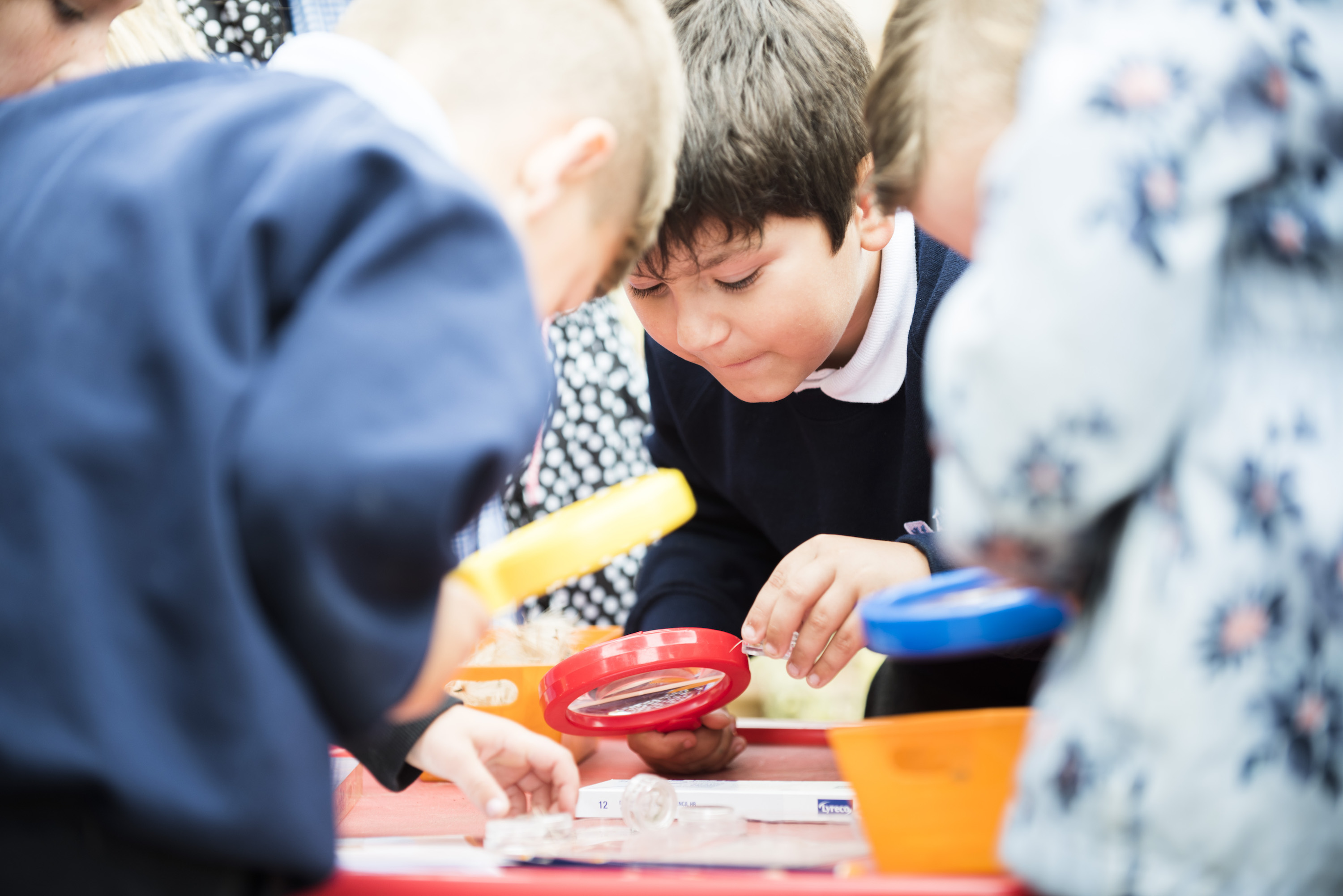 Learning and Research Projects - North Lincolnshire Museum