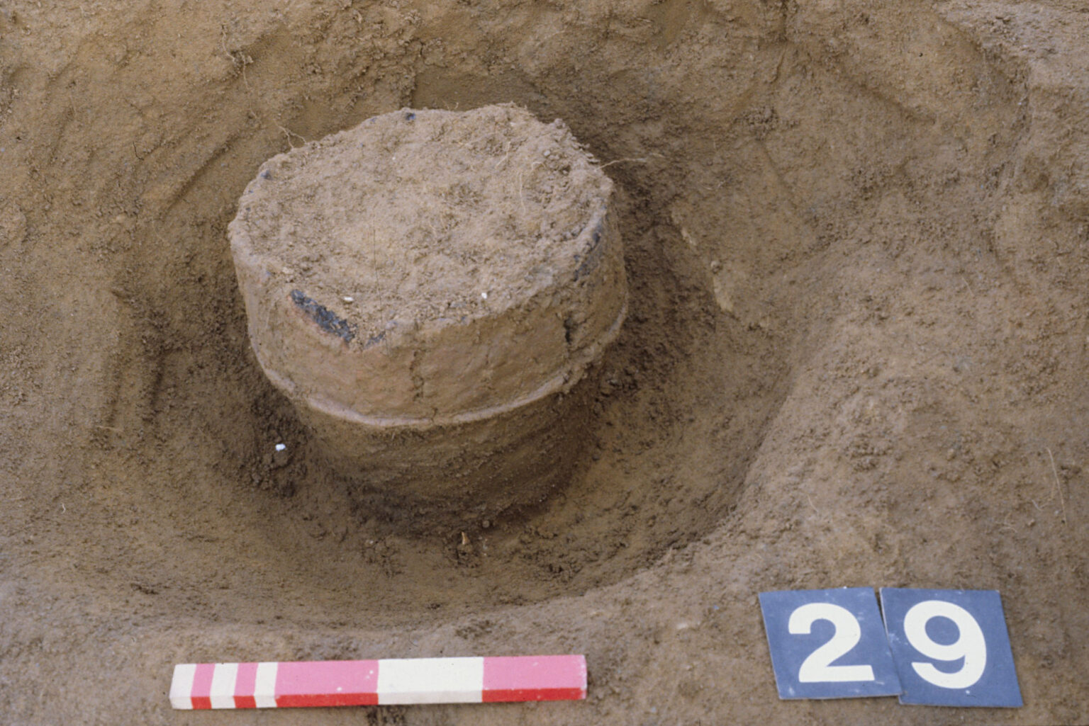 Dead and Buried: The Archaeology of Death and Burial - North ...