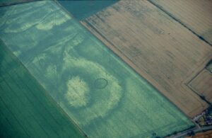 Dead and Buried: The Archaeology of Death and Burial - North ...