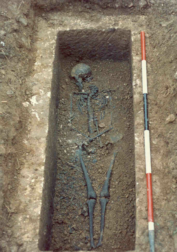 Dead and Buried: The Archaeology of Death and Burial - North ...