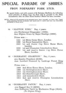 Normanby Park Shire Horses - North Lincolnshire Museum