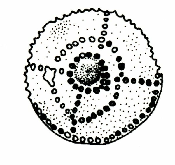 Saints and Sinners: Medieval Ritual and Religion - North Lincolnshire ...