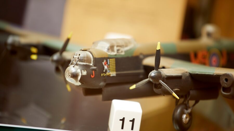 Museum Makers Choice - The Bradley Sword - North Lincolnshire Museum