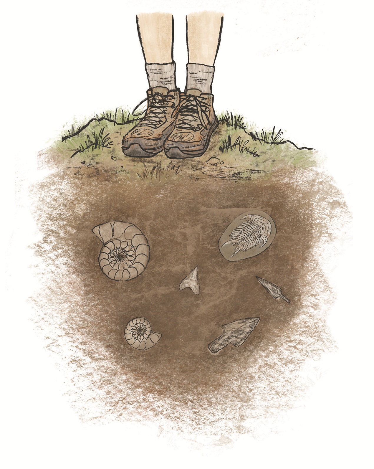 The Ground Beneath Our Feet: Part 4 - North Lincolnshire Museum