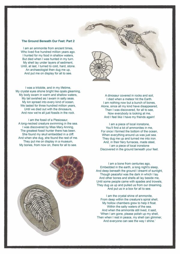 The Ground Beneath Our Feet: Part 2 - North Lincolnshire Museum